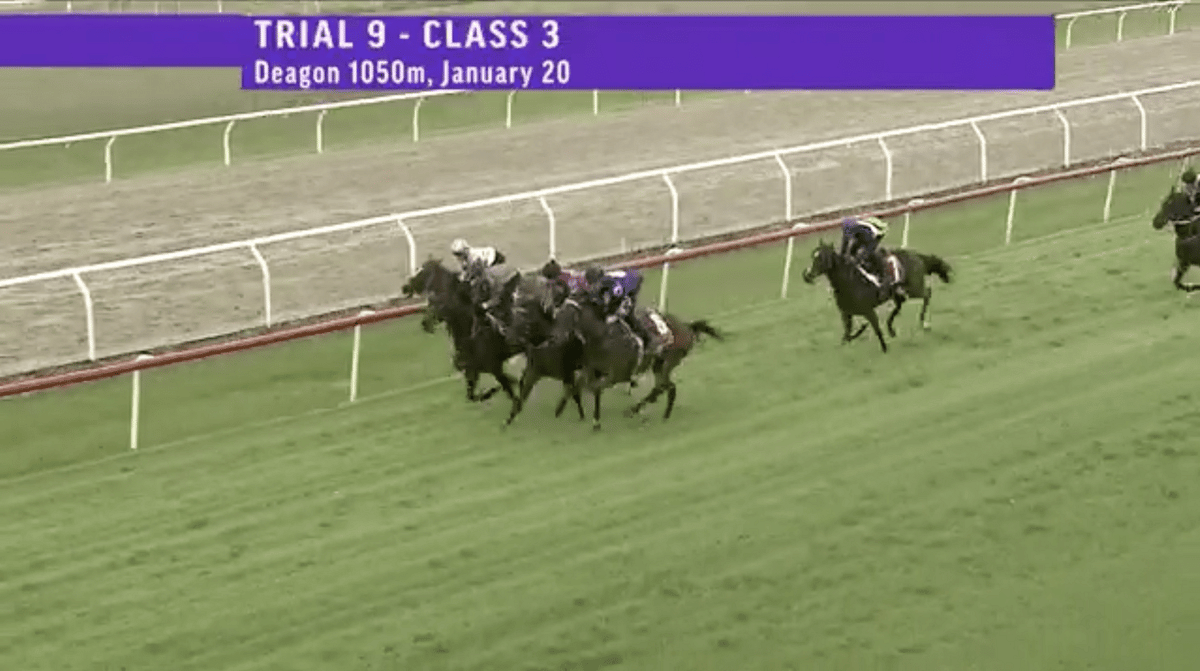 Smart Trial Wins for Le Chocolat & Gaylord Signal Exciting Returns ...