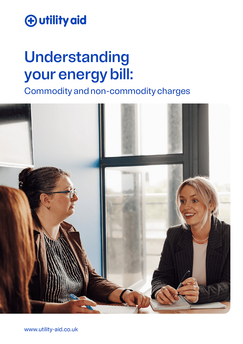 Understanding your energy bill: Commodity and non-commodity charges ...